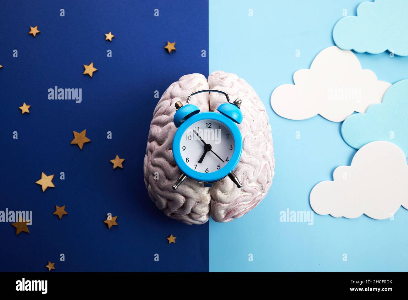 Circadian cycle hi-res stock photography and images - Alamy