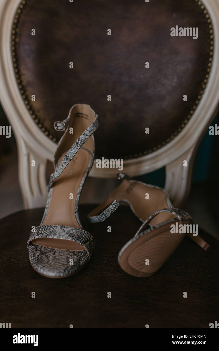 Closeup of the beautiful fancy snakeskin high heels on the chair Stock ...