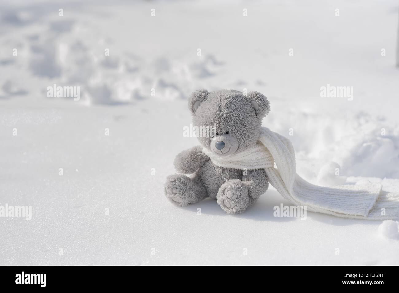 teddy bear sitting in the snow, winter, white snow background Stock ...