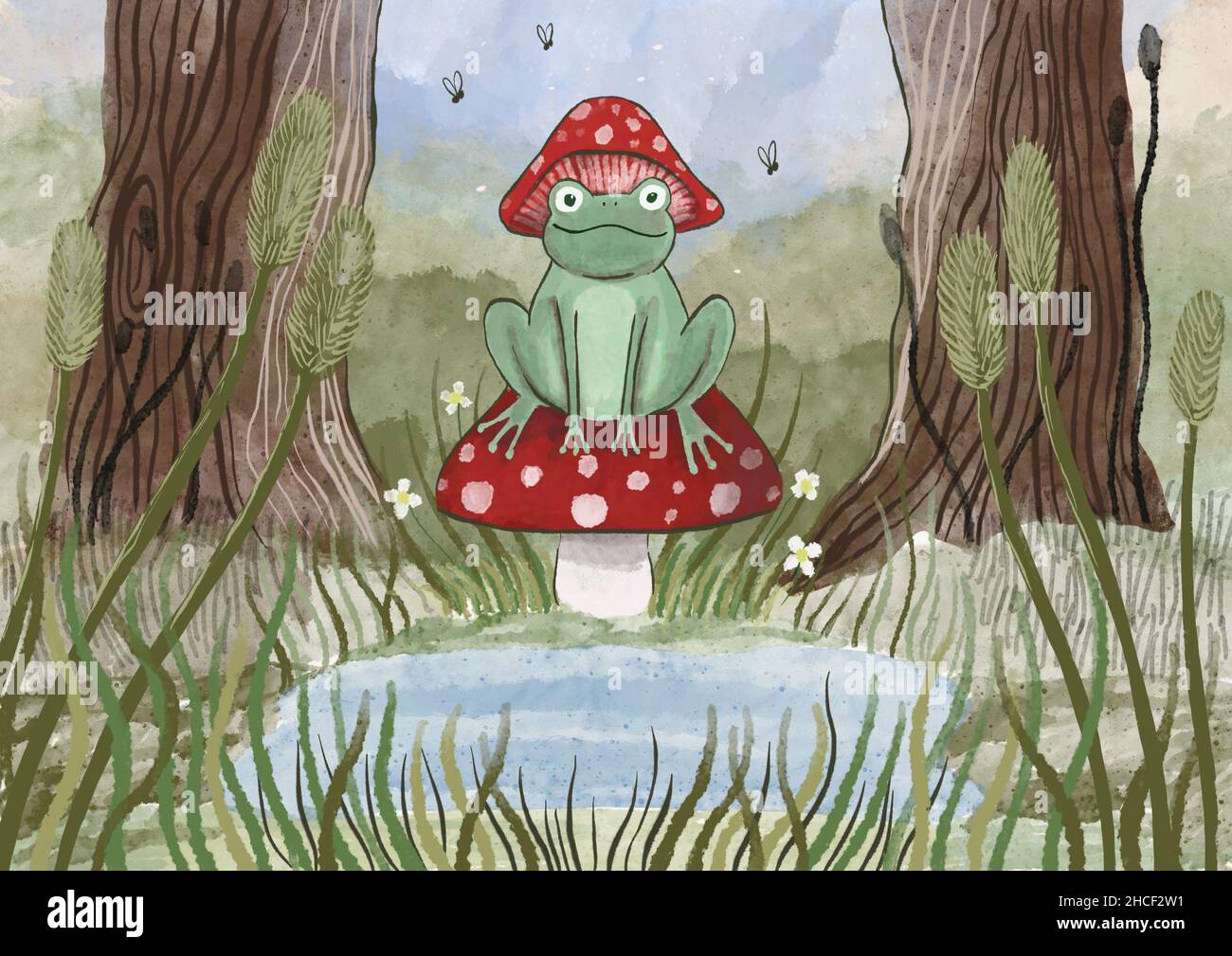 Toadstool frog hi-res stock photography and images - Alamy