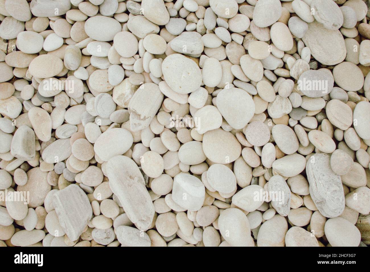 Background of white pebbles on a beach Stock Photo - Alamy
