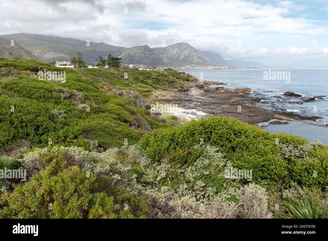 Vie from the cliff path, Hermanus, Western Cape, South Africa Stock ...