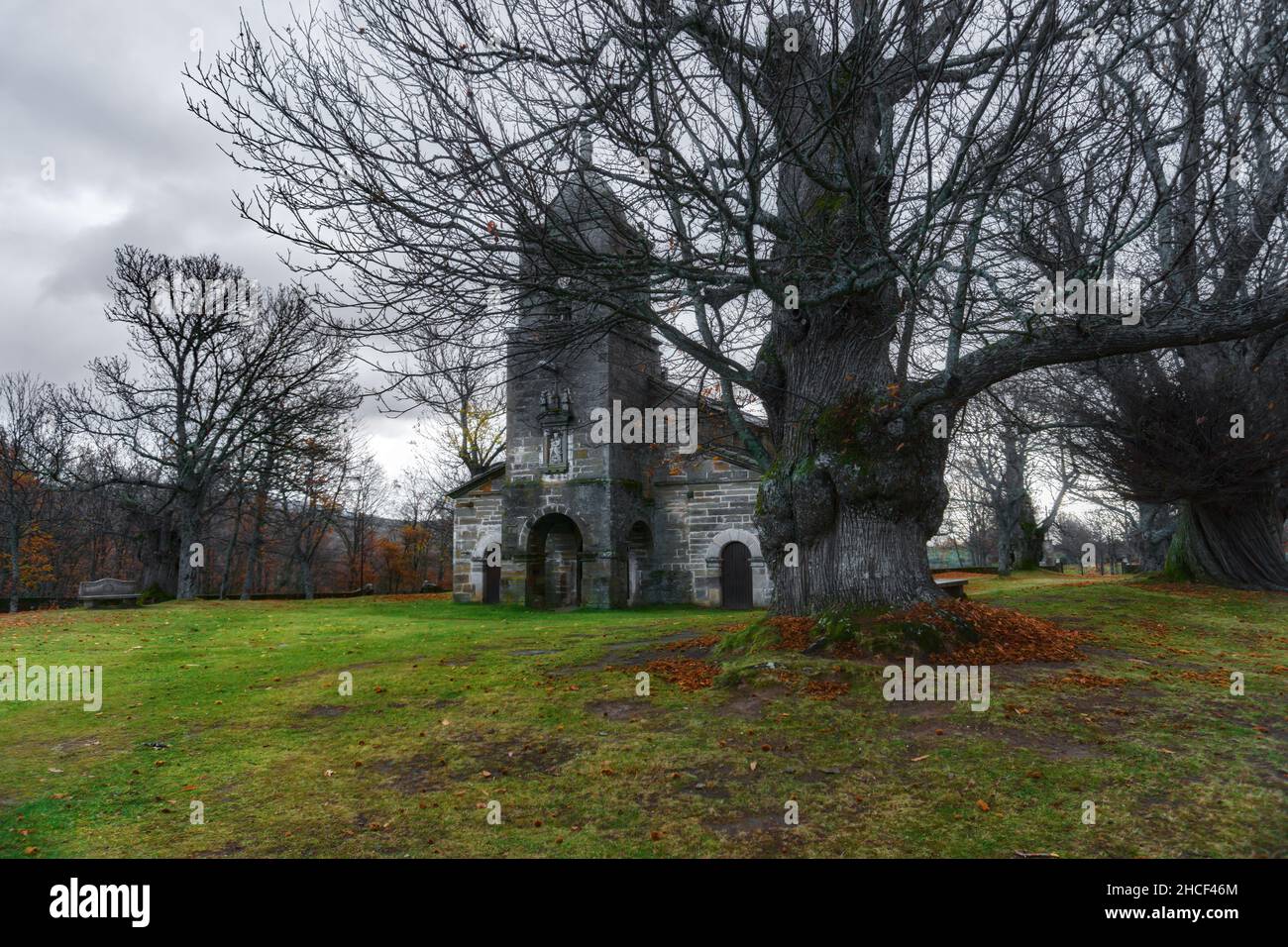 Beautiful Hermitage among ancient chestnut trees. Sanctuary of La ...