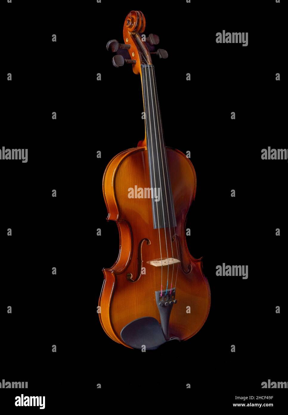 Light and shadows on the violin body. Violin isolated on black ...