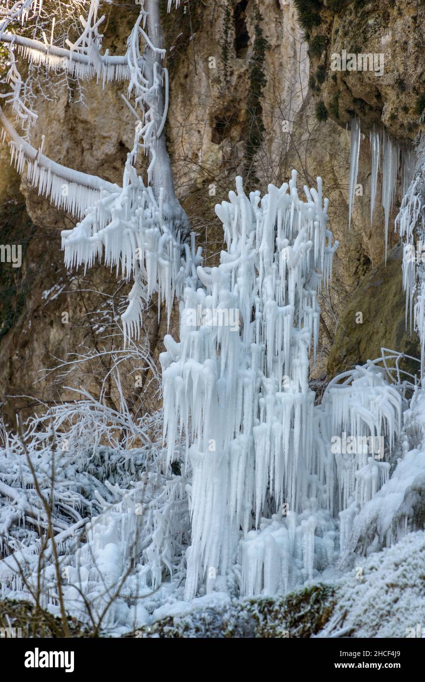 frozen tree with icicles at the waterfall Stock Photo - Alamy