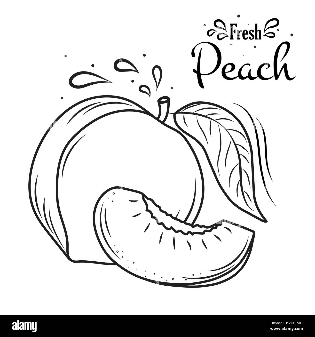 Peach Fruit Drawing