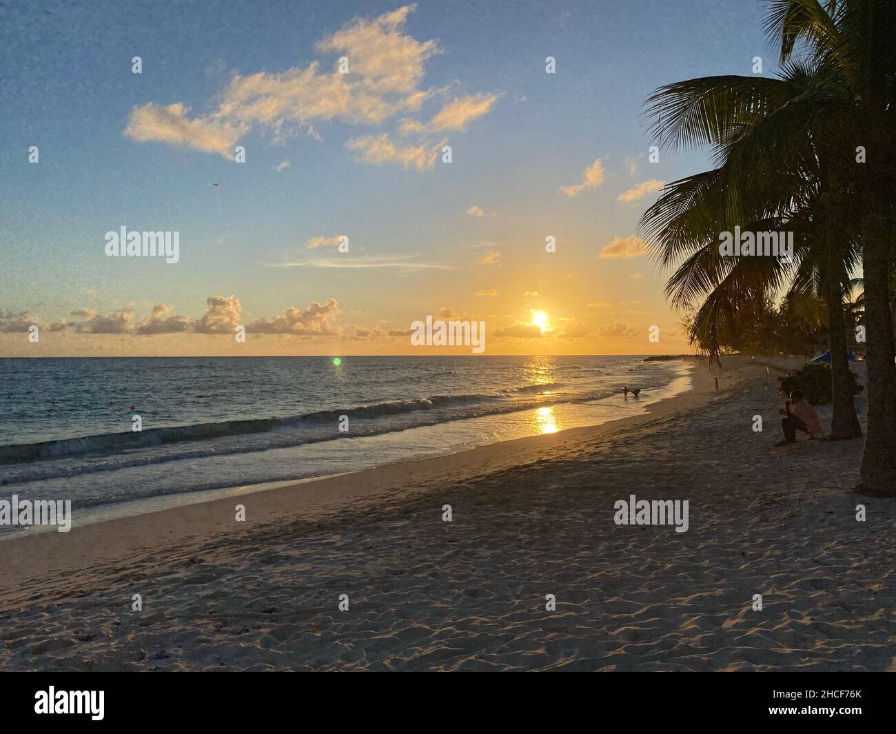 Beautiful landscape of a sandy beach in Barbados on the sunset Stock ...