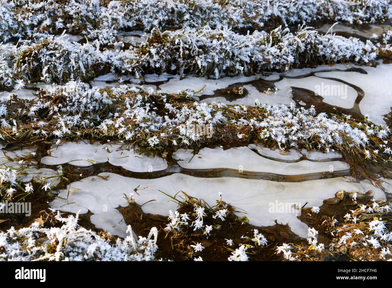 Ice pattern in a river bed Stock Photo - Alamy