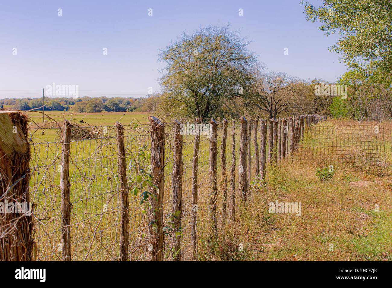 Barbed wire fence plants in hi-res stock photography and images - Alamy