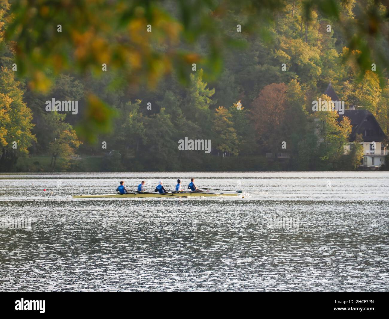 Group of people rowing a boat in Lake Bled, Slovenia Stock Photo - Alamy