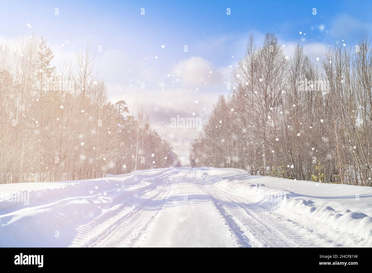 Snow-covered road in winter, between trees. It snows on a clear day ...