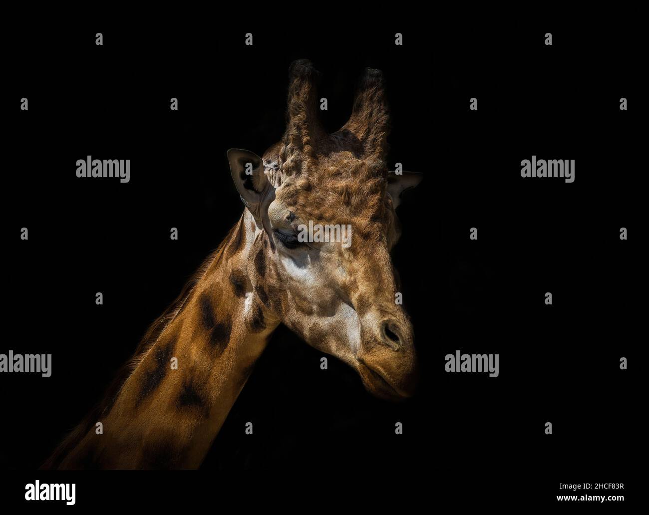 Creative edit hi-res stock photography and images - Alamy