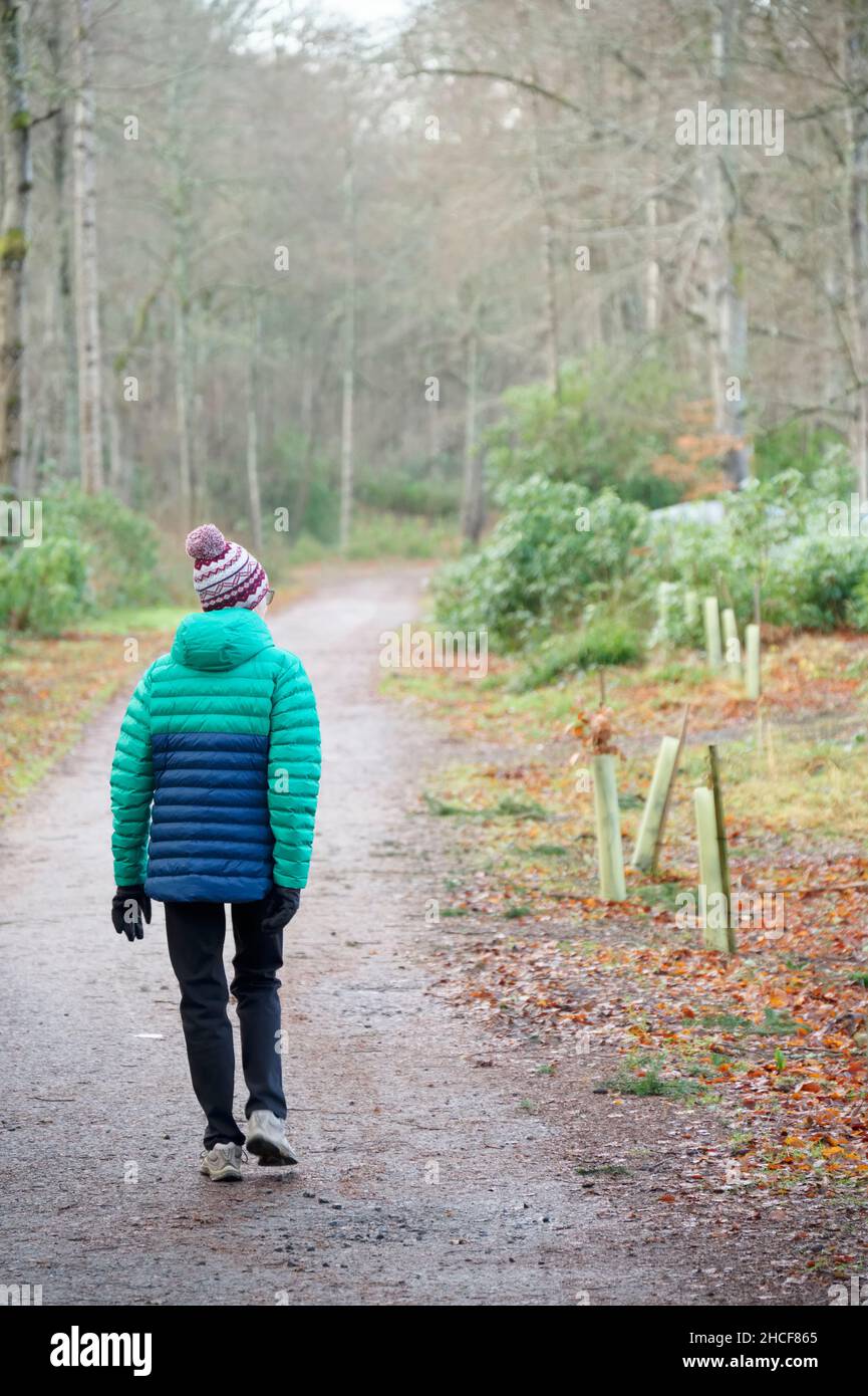 Single elderly woman walking alone in forest for good mental and ...
