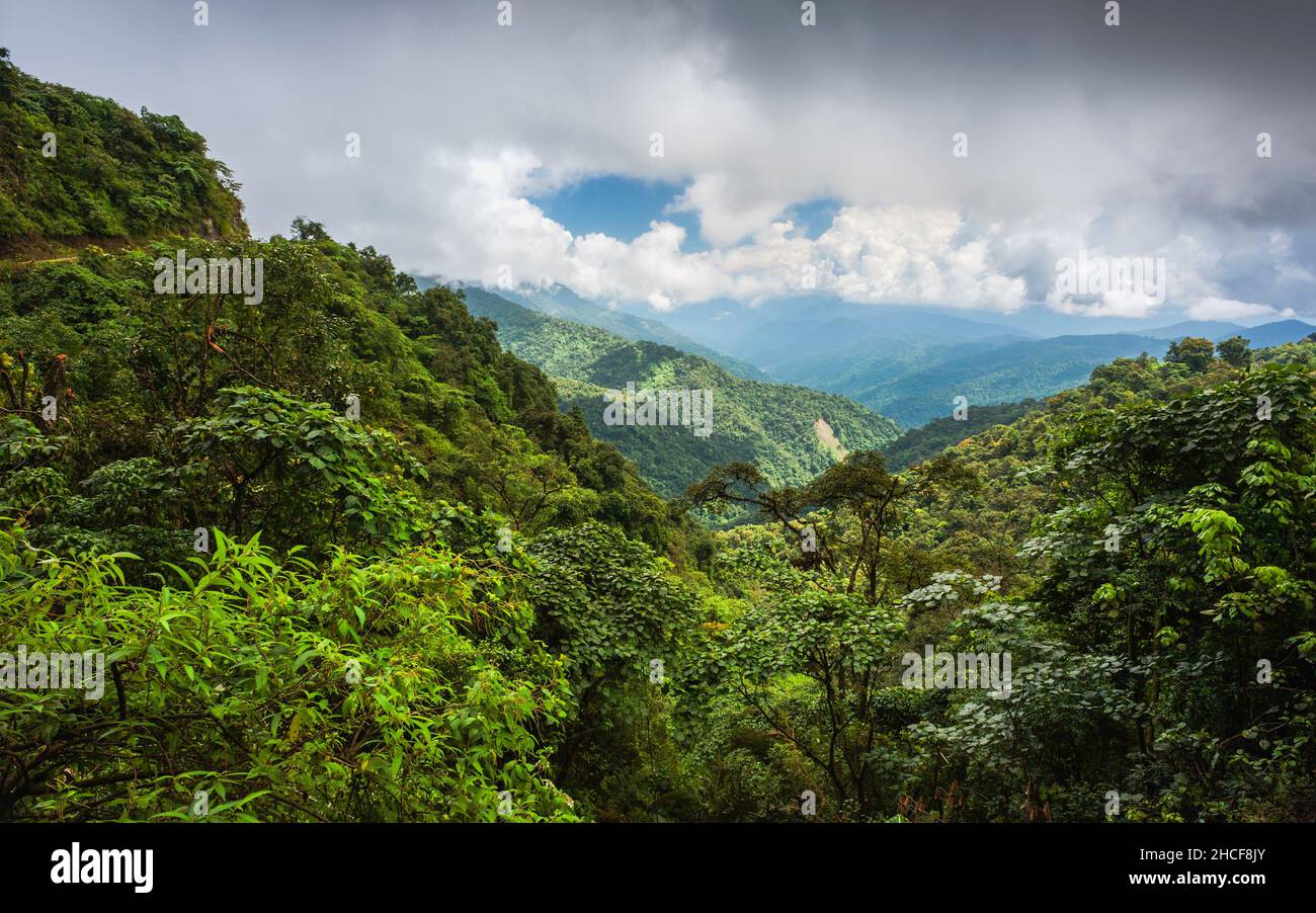 View across Himalaya foothills and forested slopes from Indian highway ...