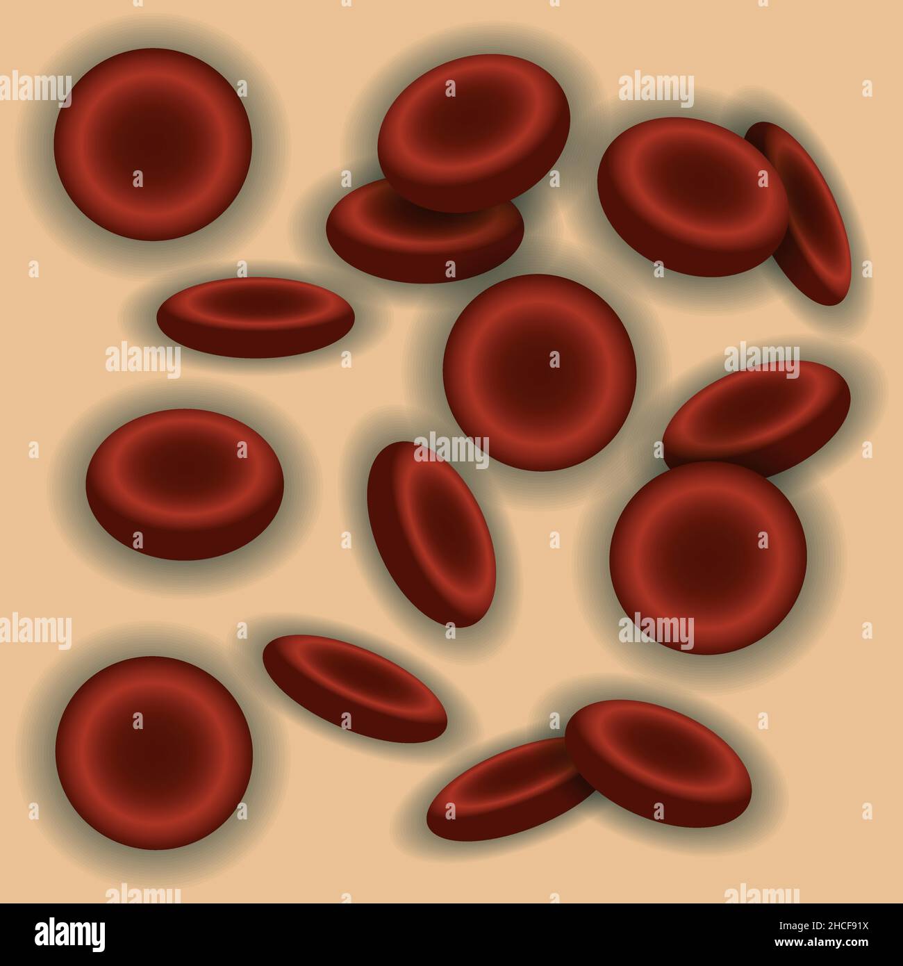 Erythrocytes: red blood cells, vector illustration Stock Vector Image ...