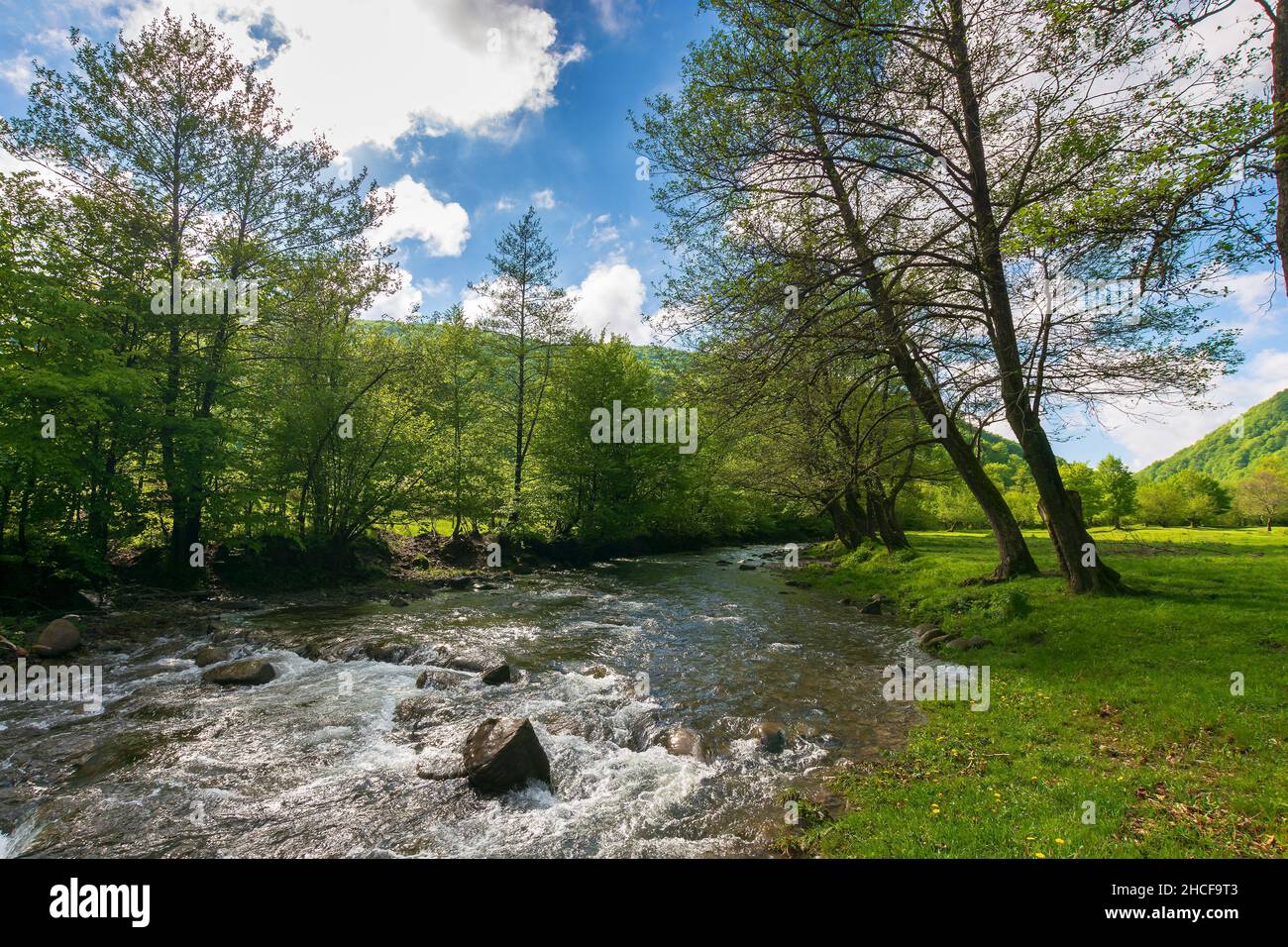 small mountain river flows through the valley. beautiful nature ...