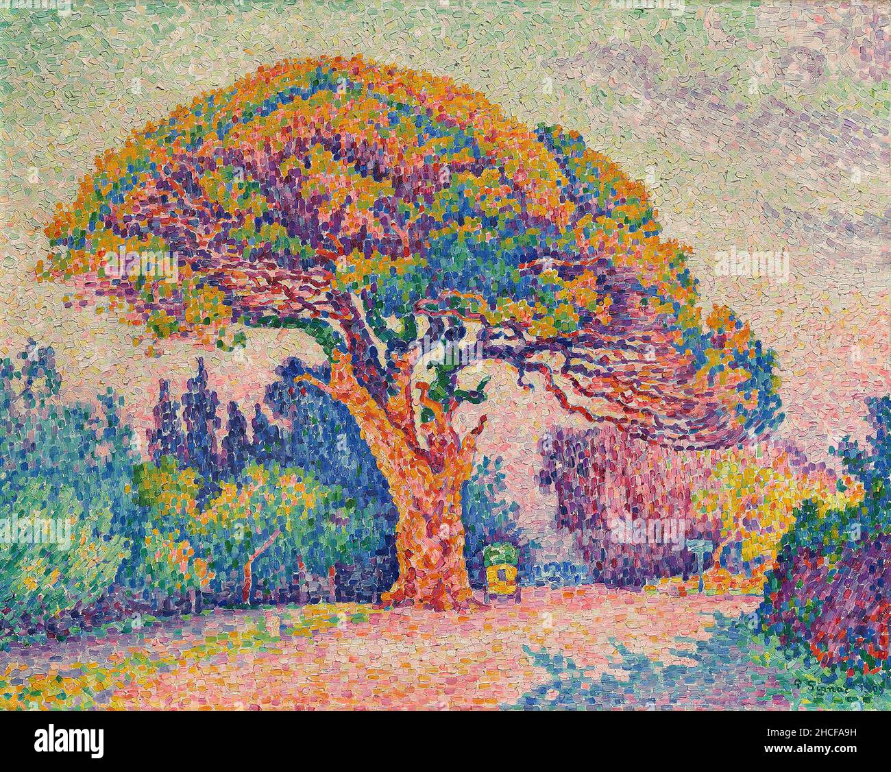 The Pine Tree at St Tropez by Pau Signac Stock Photo - Alamy