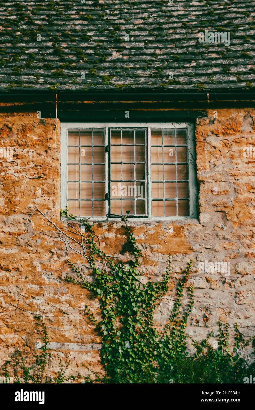 Window in an old cottage house with ivy Stock Photo - Alamy