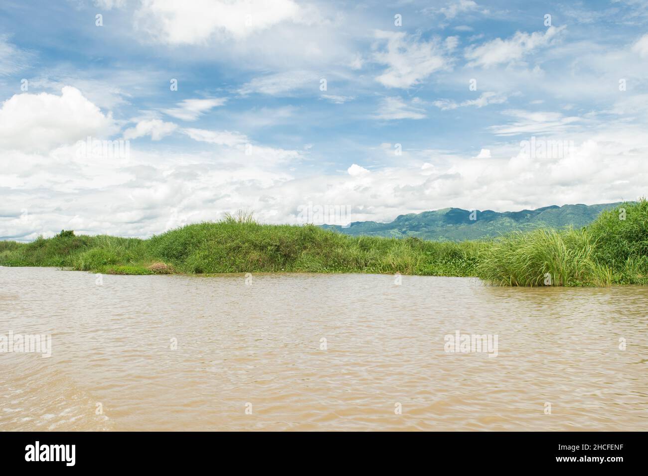 Floating vegetation, plants and trees in the water of Inle Lake ...
