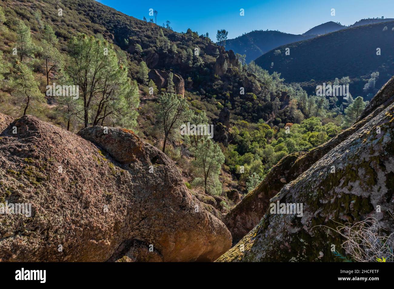Pinnacles volcanic formations with oak-pine habitat in the High Peaks ...