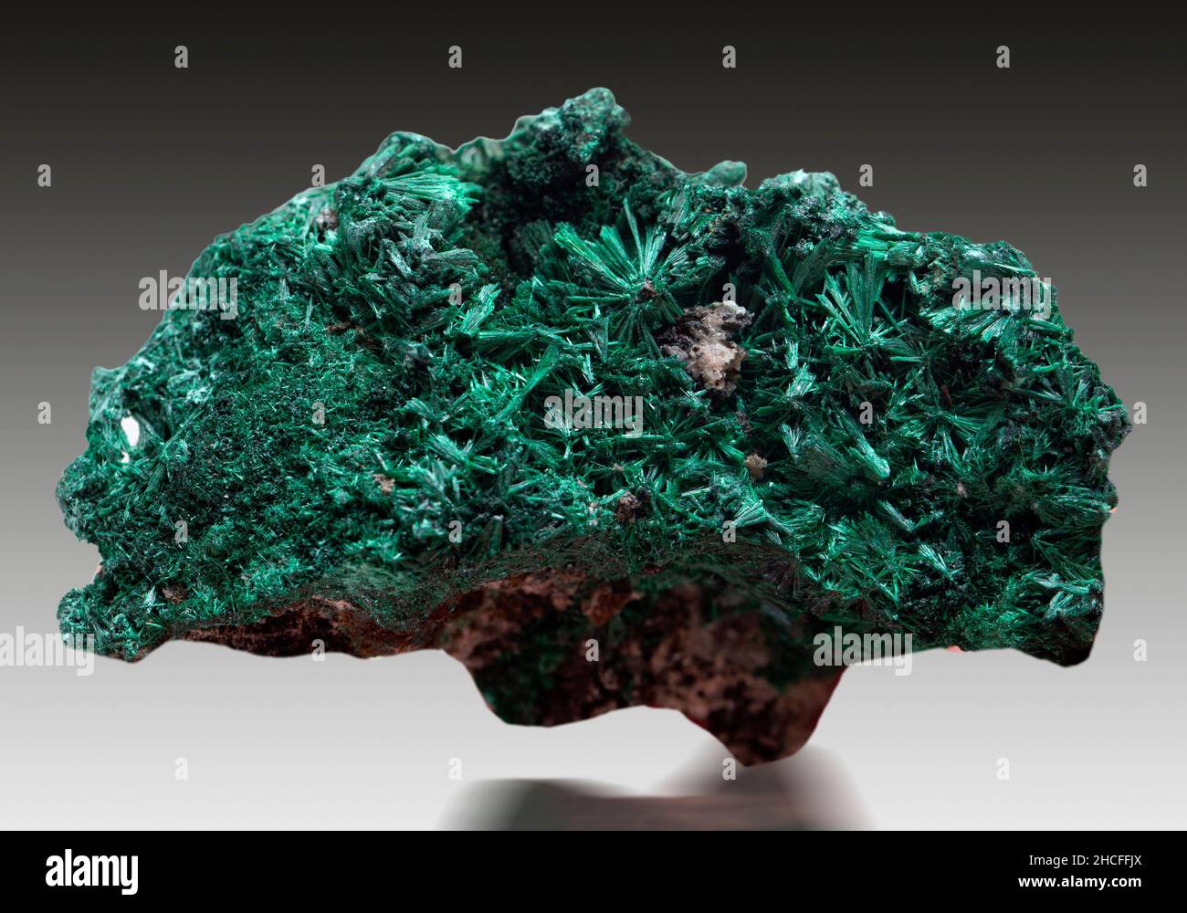 malachite mineral specimen stone rock geology gem crystal Stock Photo ...