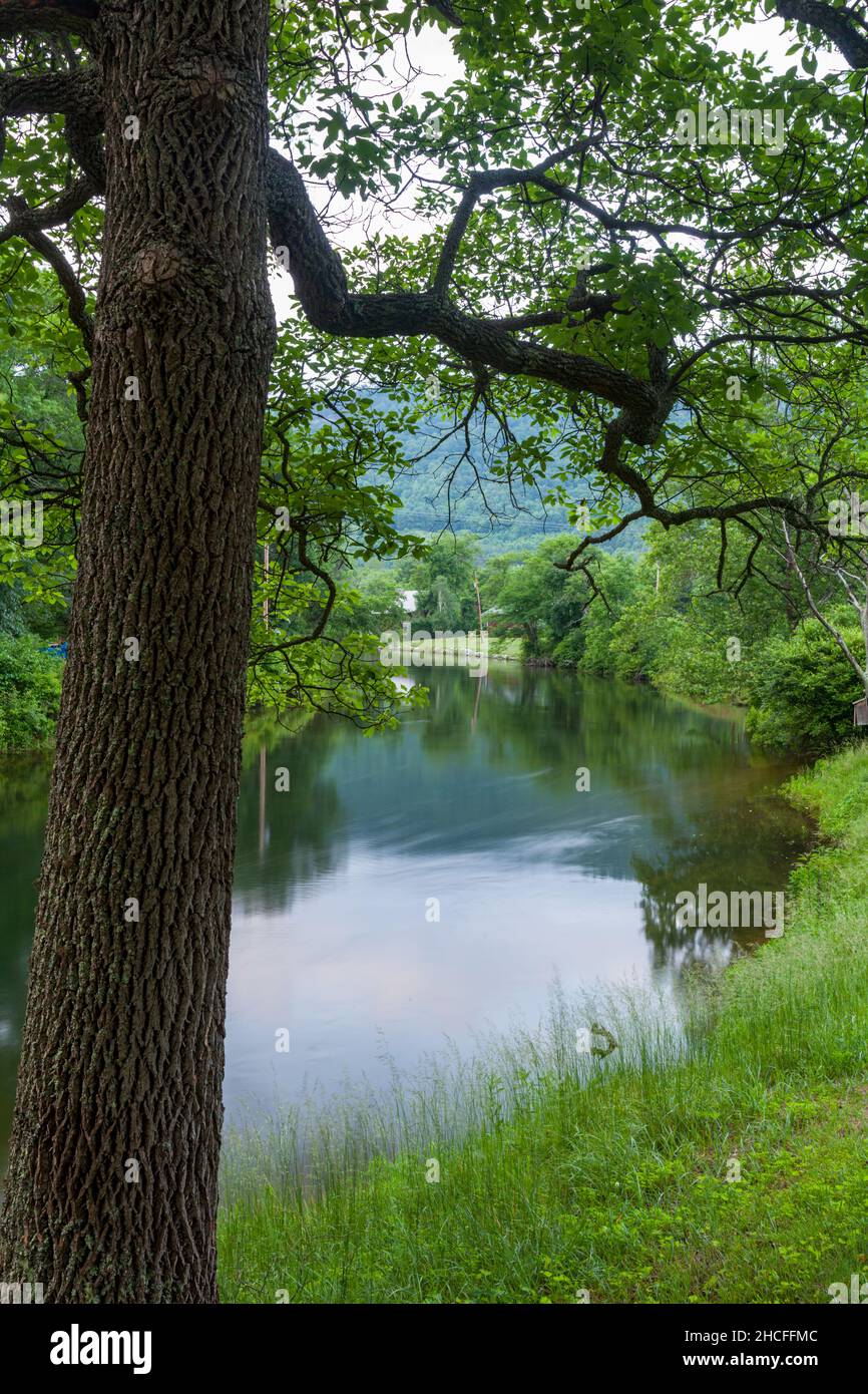 River in North Carolina Stock Photo - Alamy