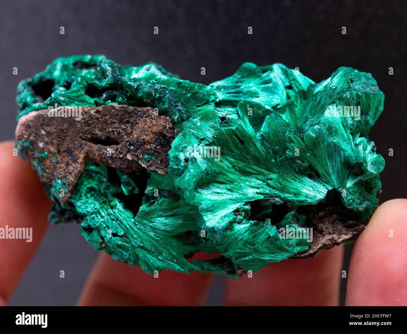 malachite mineral specimen stone rock geology gem crystal Stock Photo ...