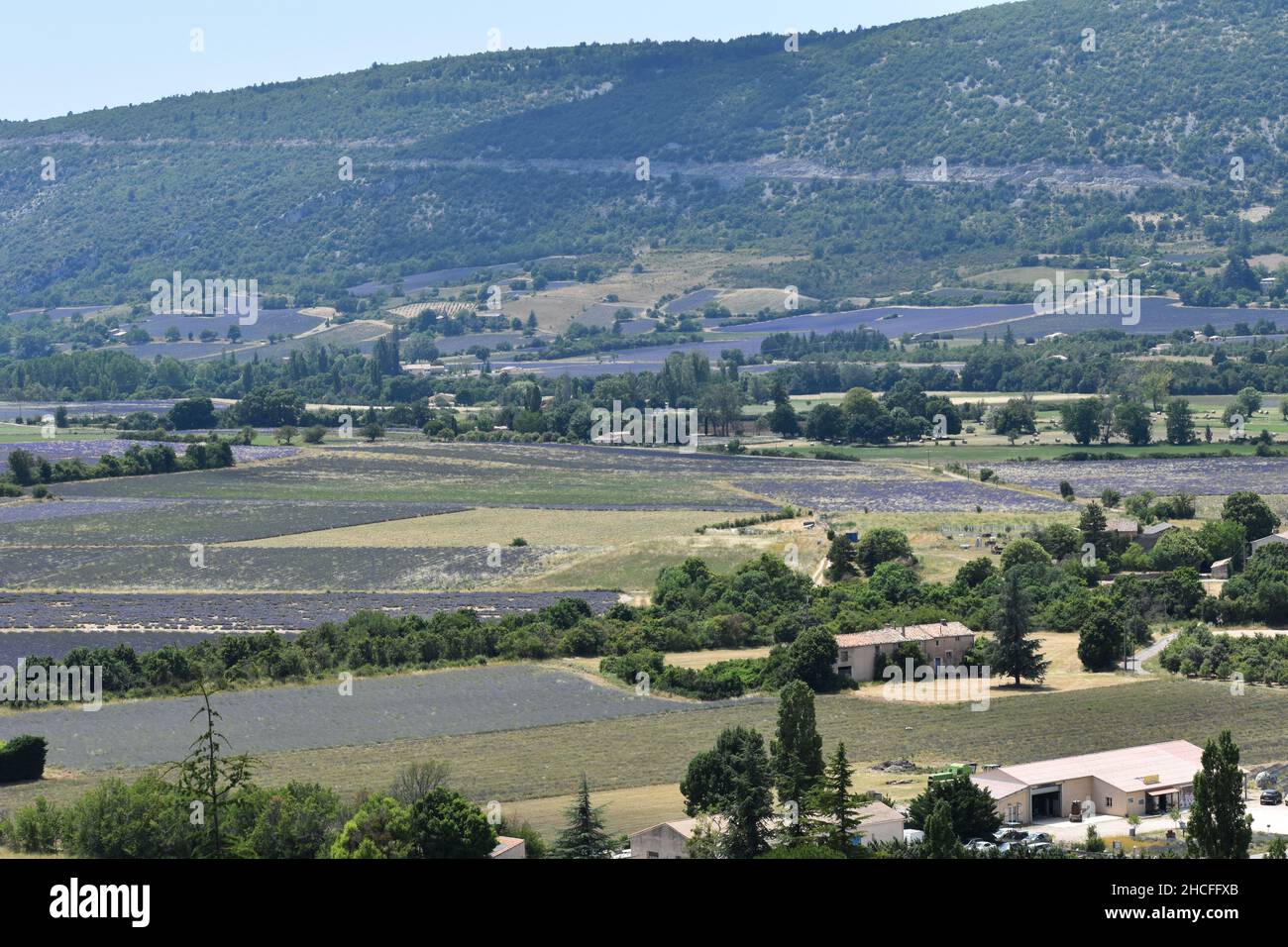 Aerial view of beautiful lavender fields in Sault, France Stock Photo ...