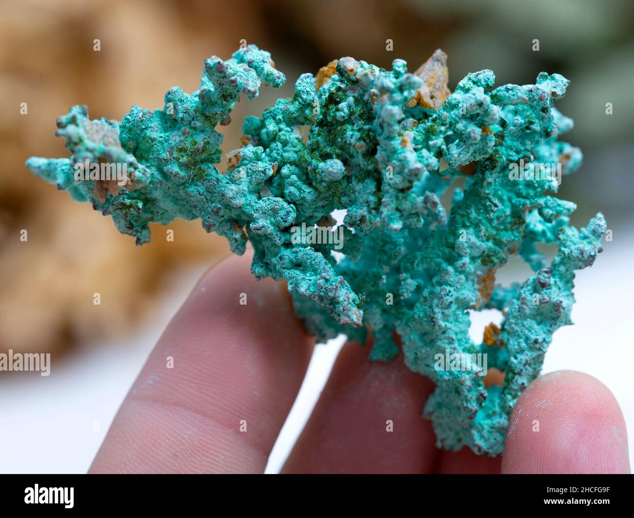 malachite mineral specimen stone rock geology gem crystal Stock Photo ...