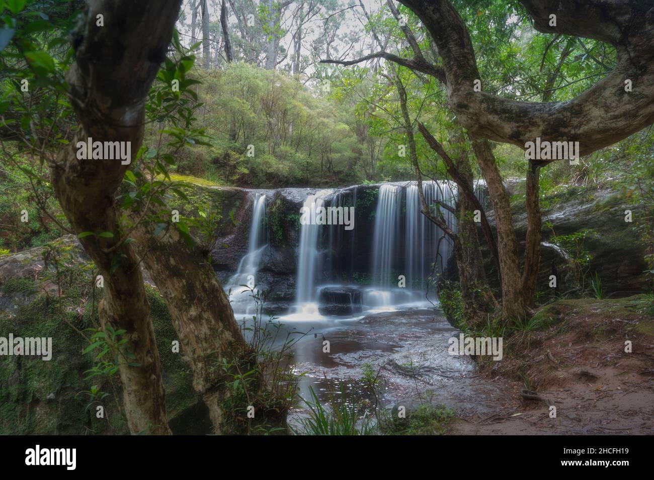 Morton National Park New South Wales Australia Stock Photo - Alamy