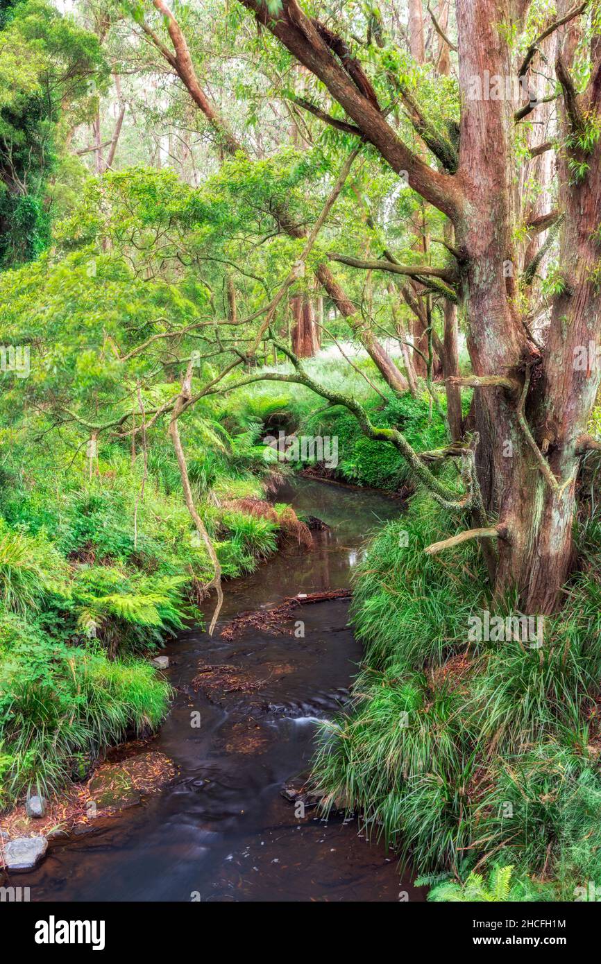 Morton National Park New South Wales Australia Stock Photo - Alamy