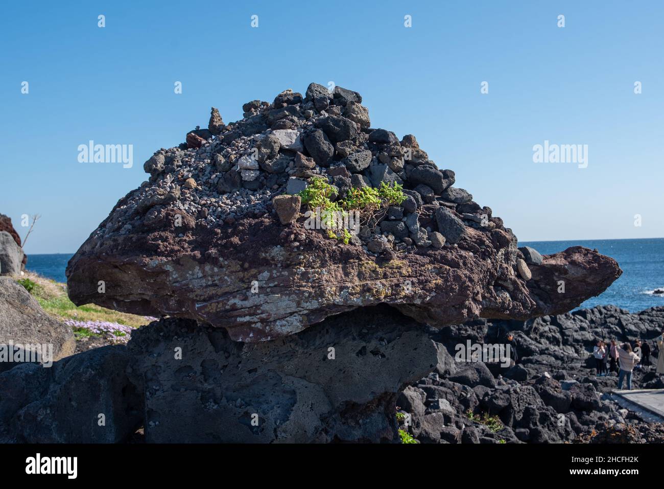Turtle-shaped rock formation on the Seopjikoji Coast of Jeju Island ...