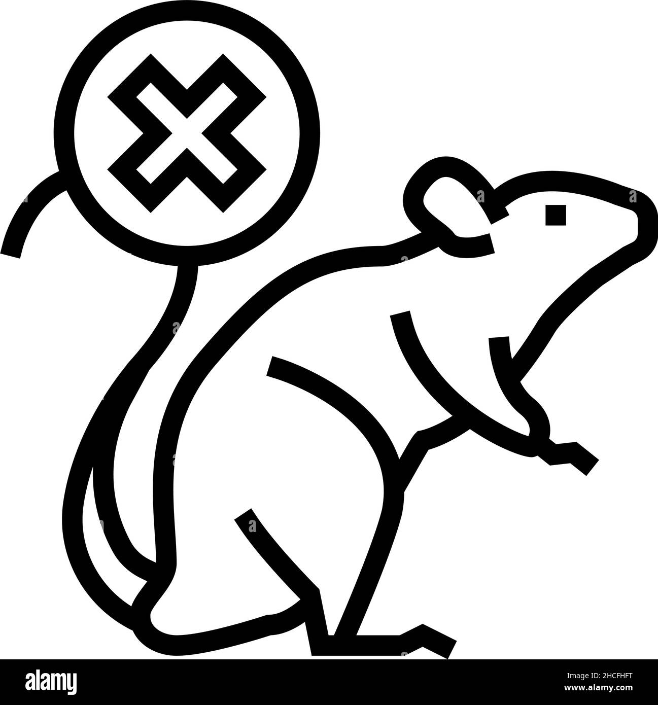 Black carpet beetle Stock Vector Images - Alamy