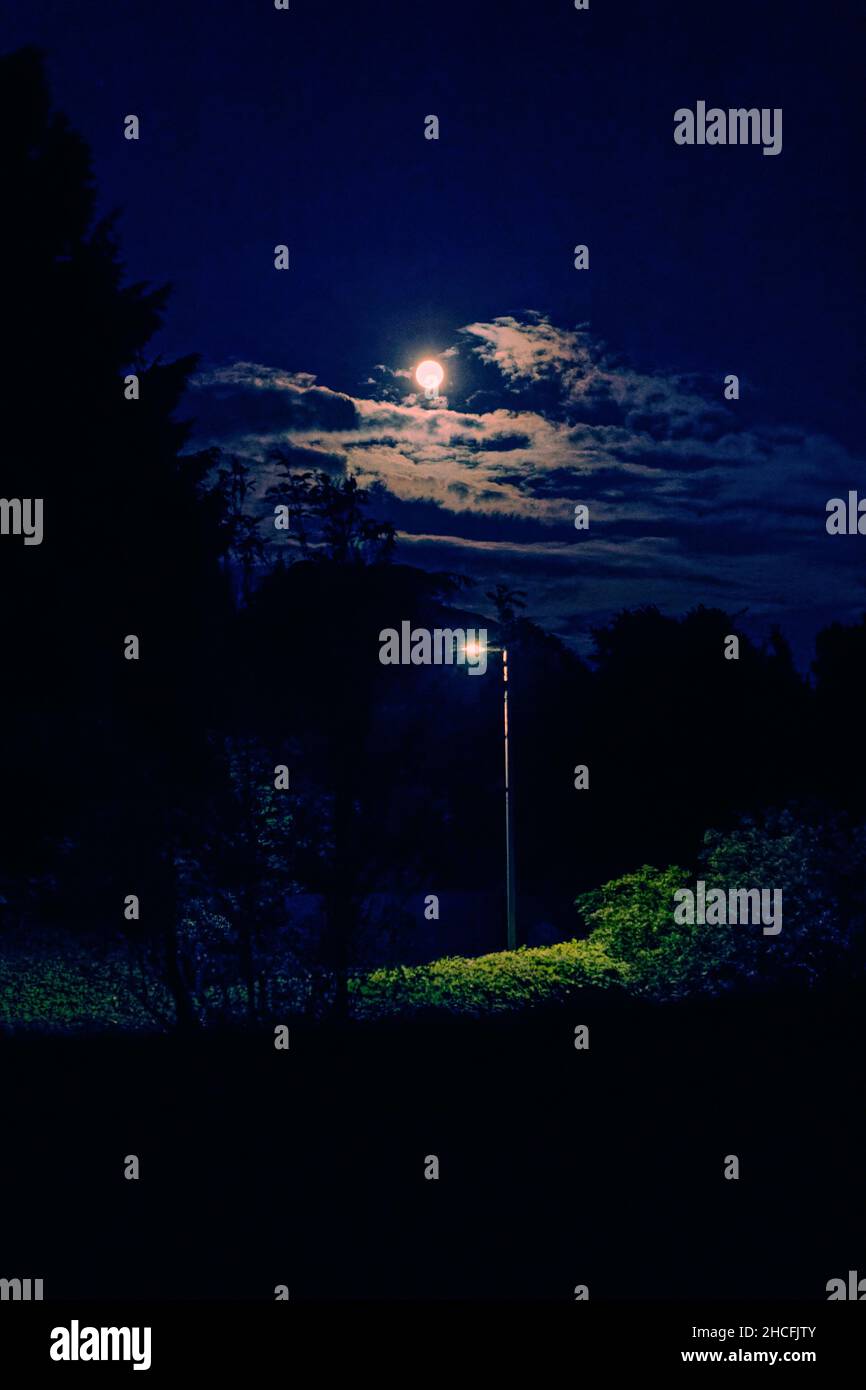 Moonlit sky with roadside street lamp glowing Stock Photo - Alamy