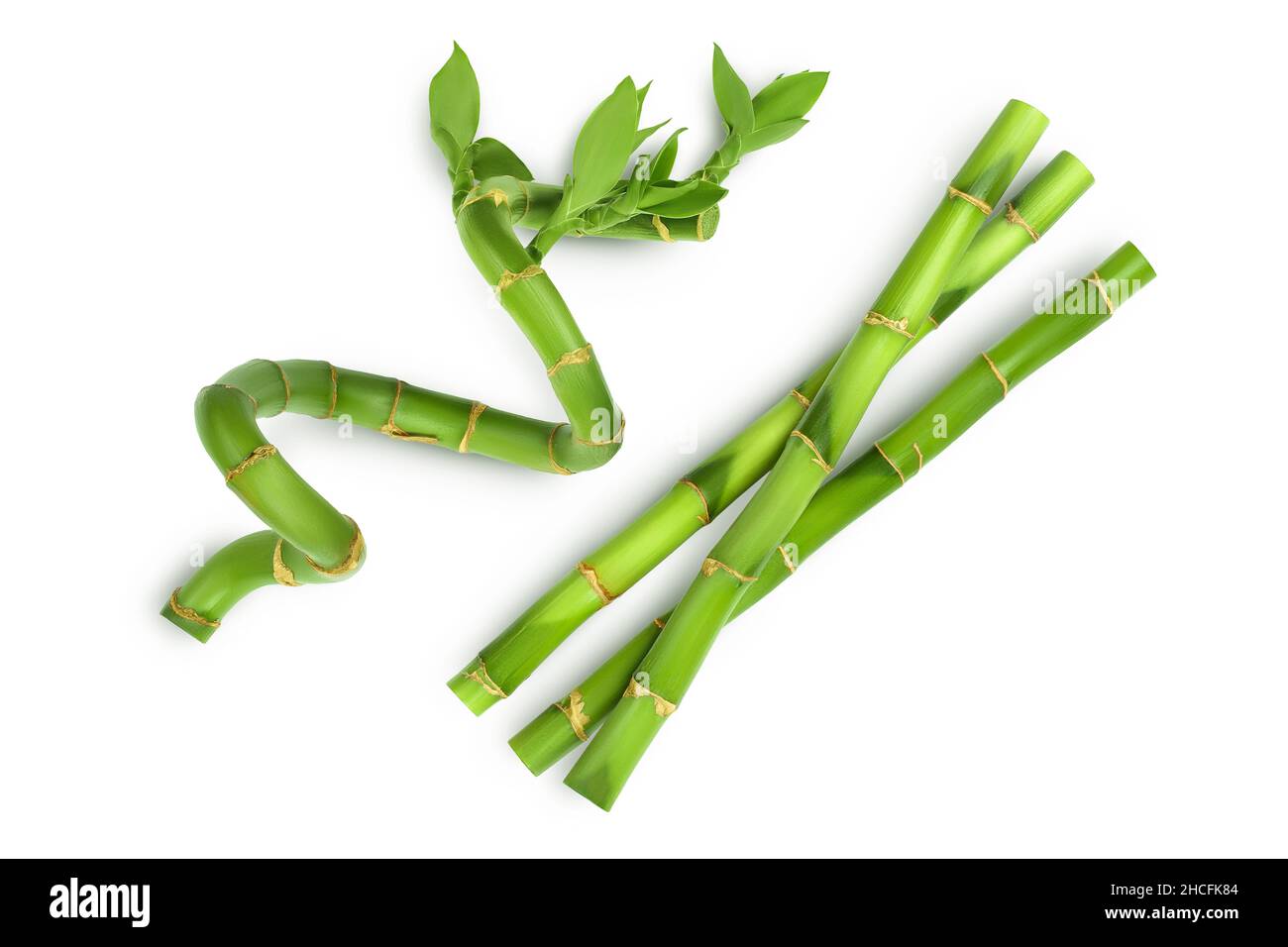 Green bamboo isolated on white background with clipping path and full ...