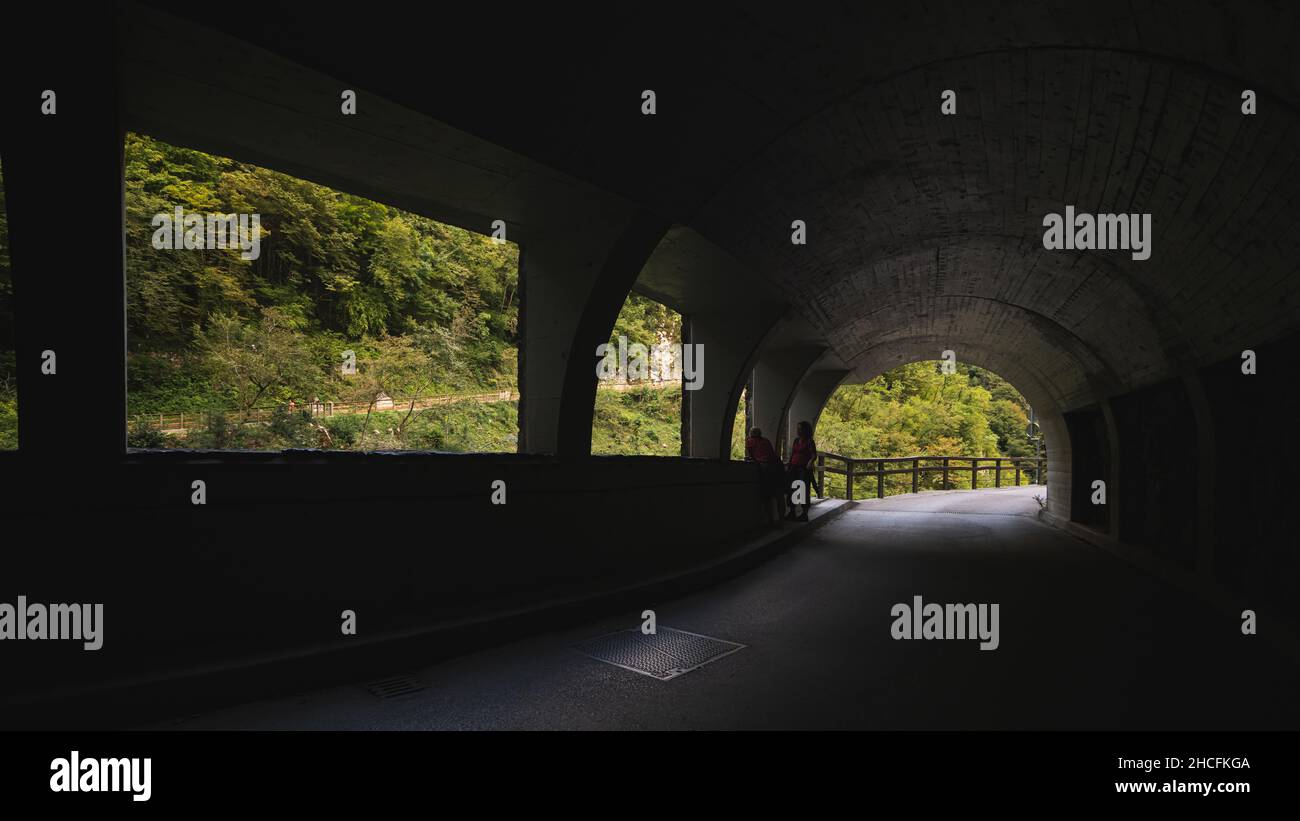 Group of people in a dim tunnel overlooking on a forest Stock Photo - Alamy