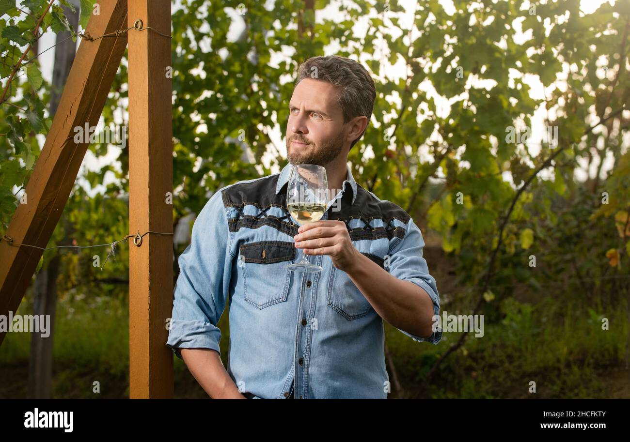 enologist with wineglass. sommelier. farmer drink wine. cheers ...