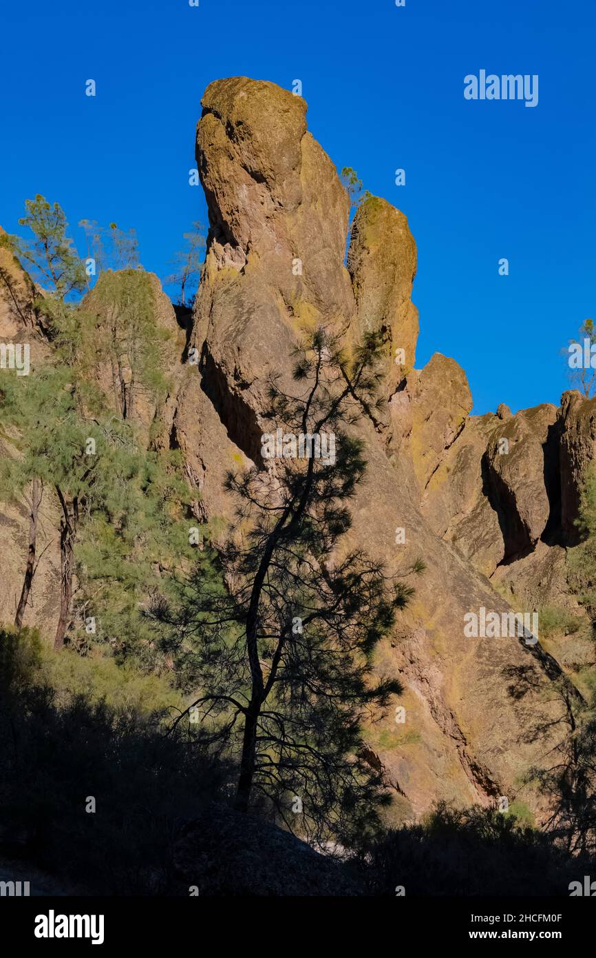 Pinnacles Volcanic Formations, made of eroded volcanic breccia, along ...