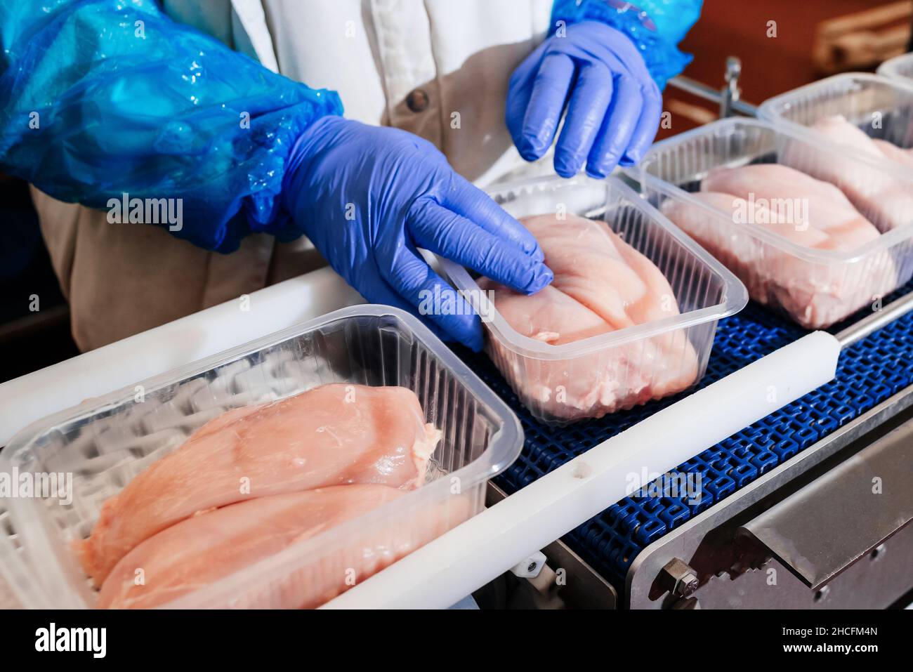 Line for the production of meat with packaging and cutting . Industrial ...