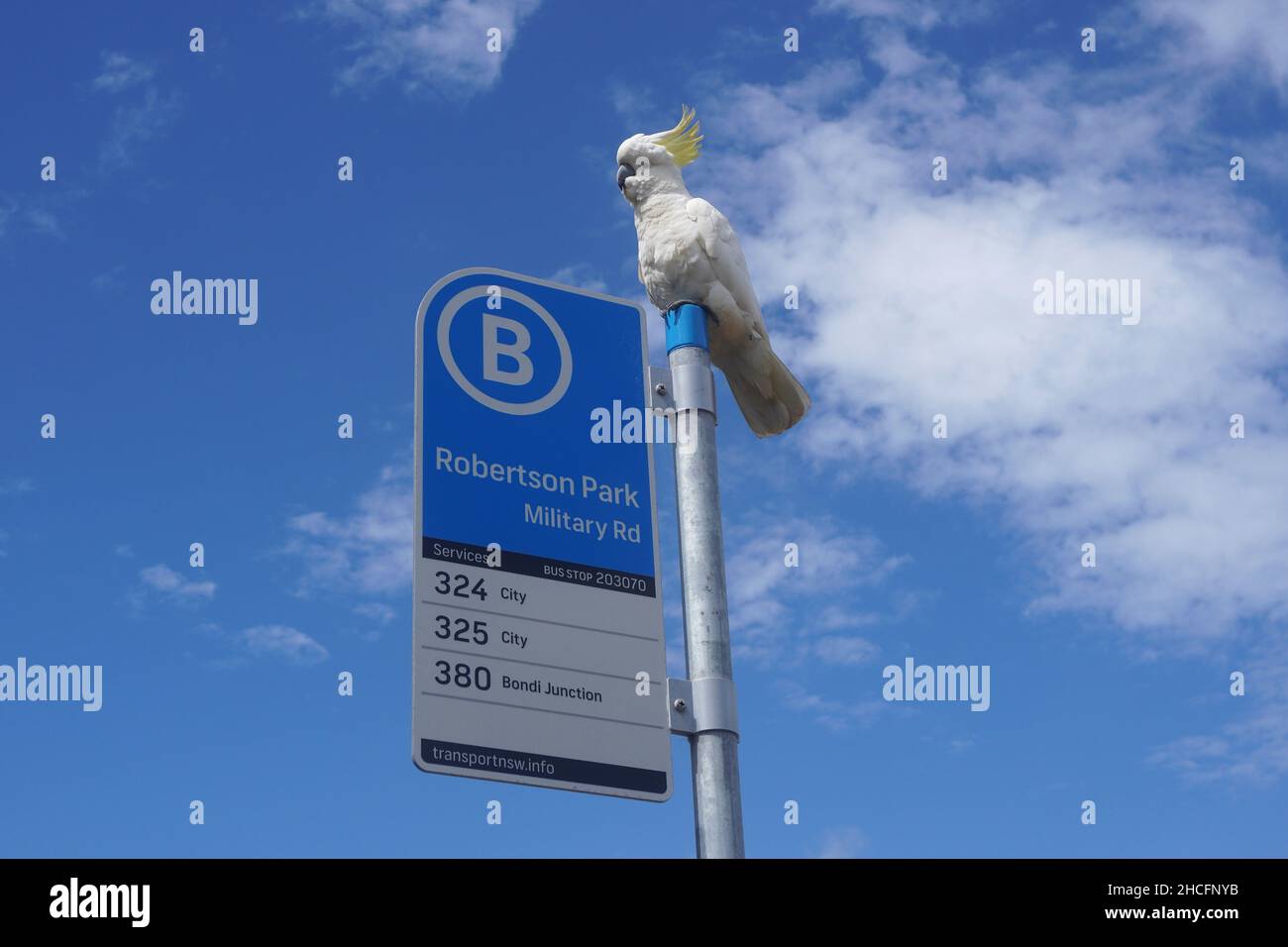 Bus stop sign australia hi-res stock photography and images - Alamy