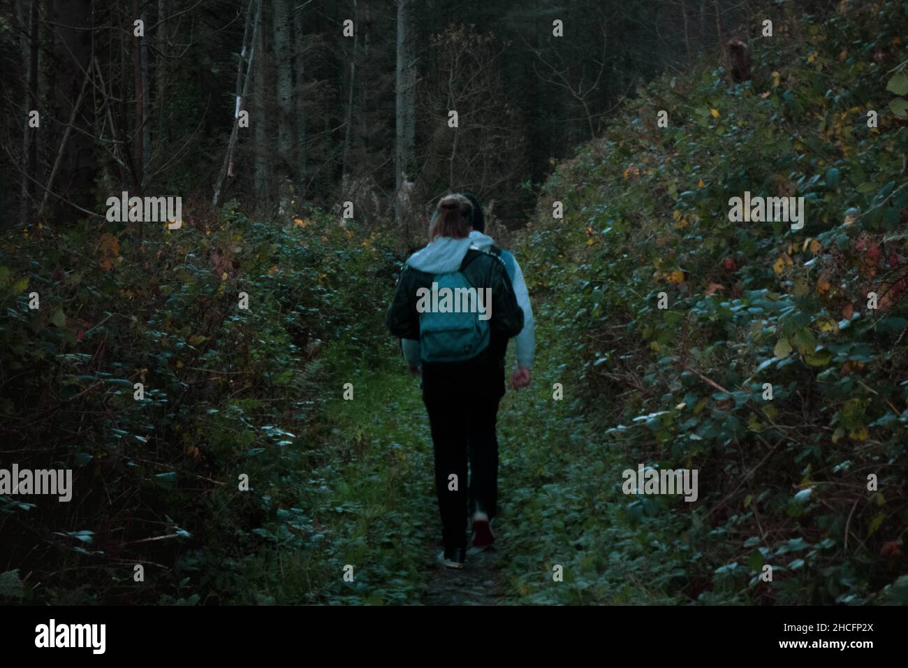 Walking field uk back hi-res stock photography and images - Alamy