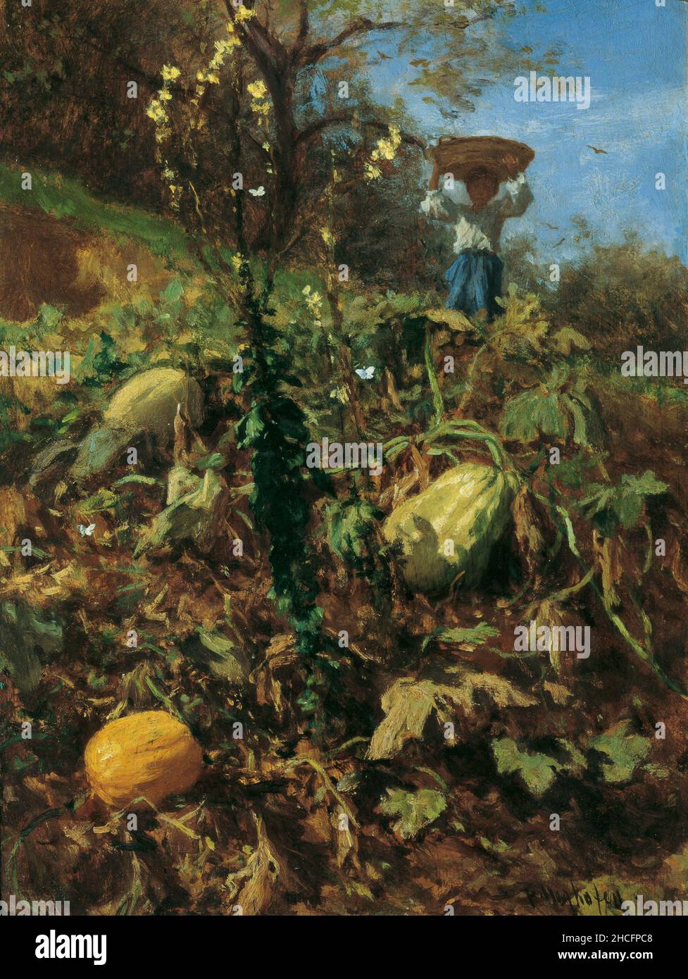 5253 hi-res stock photography and images - Alamy