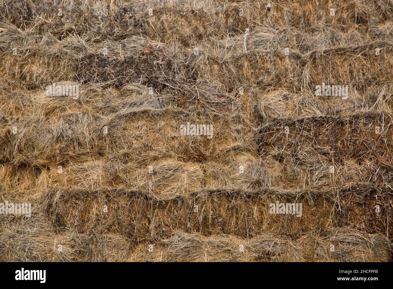 The brown hay on top view for background Stock Photo - Alamy