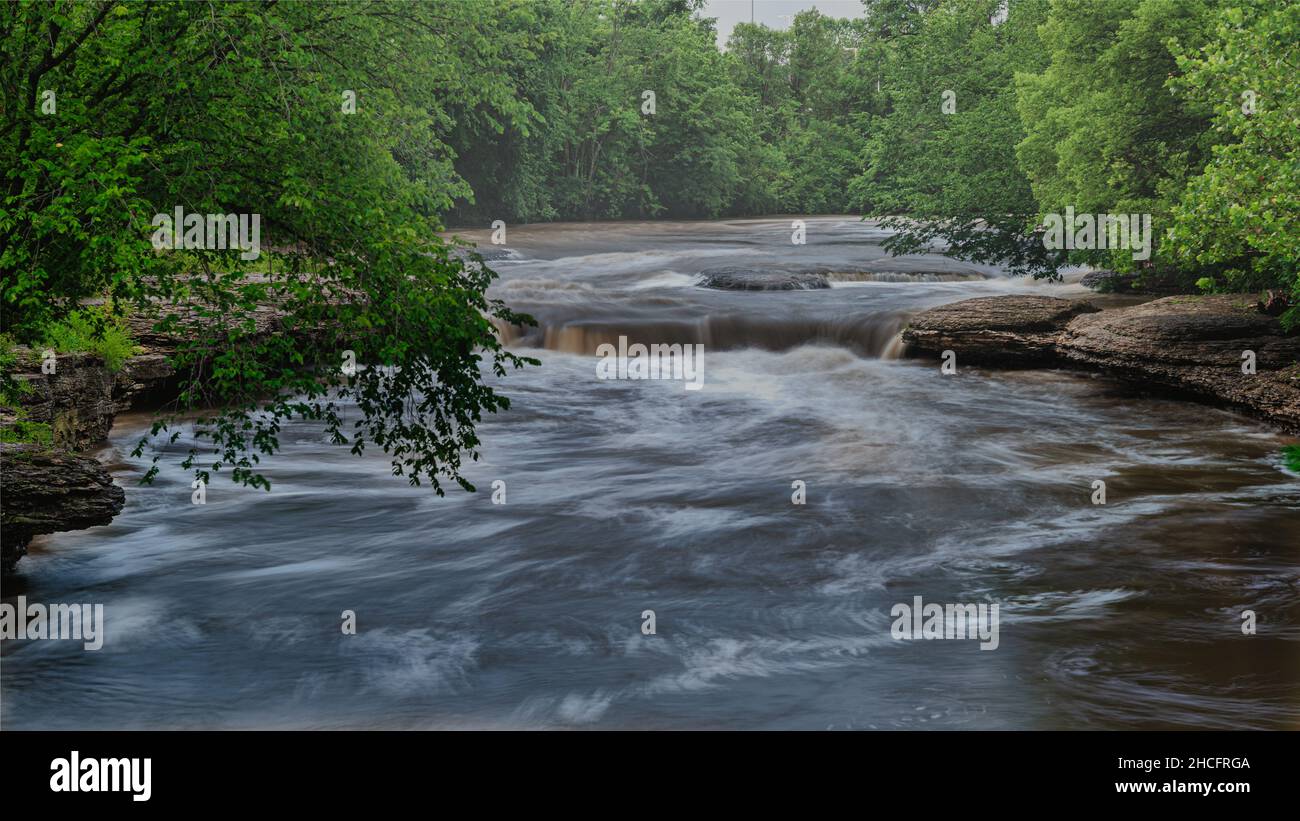 Forest foam hi-res stock photography and images - Alamy
