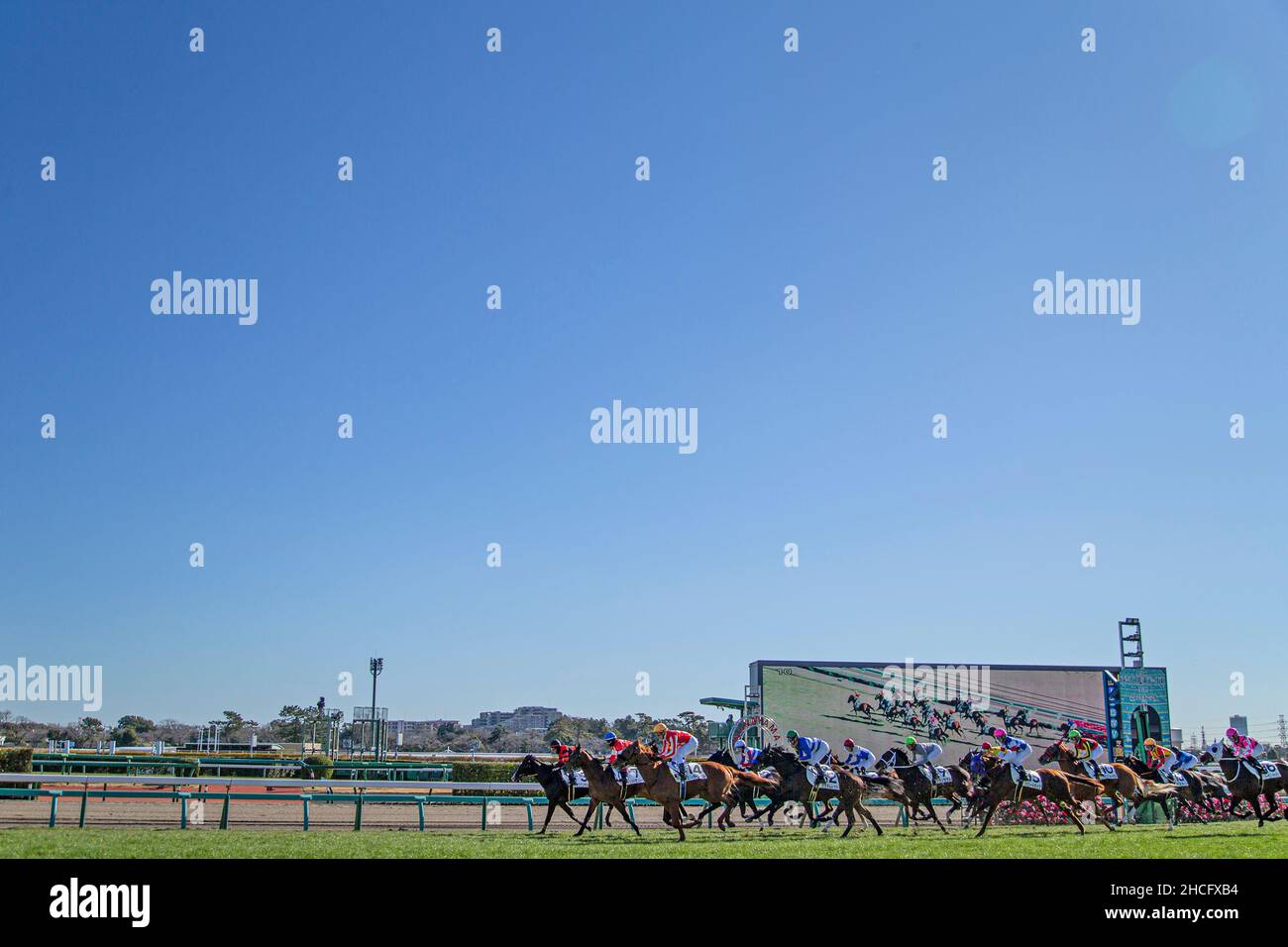 Nakayama racecourse hi-res stock photography and images - Alamy