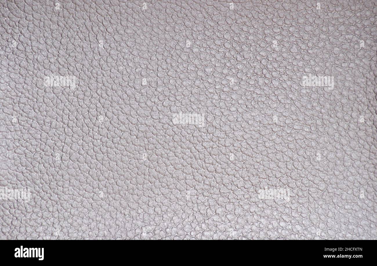 Fragment of natural light gray leather with a pattern in a mesh close ...