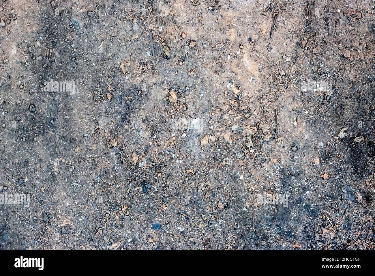 Fly Ash