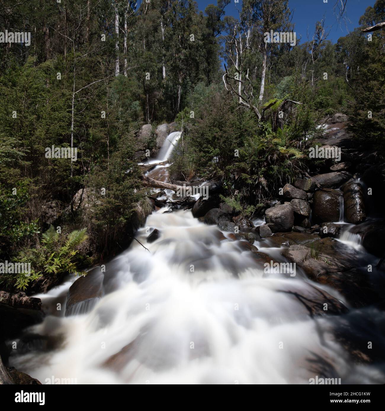 Murrindindi river hi-res stock photography and images - Alamy