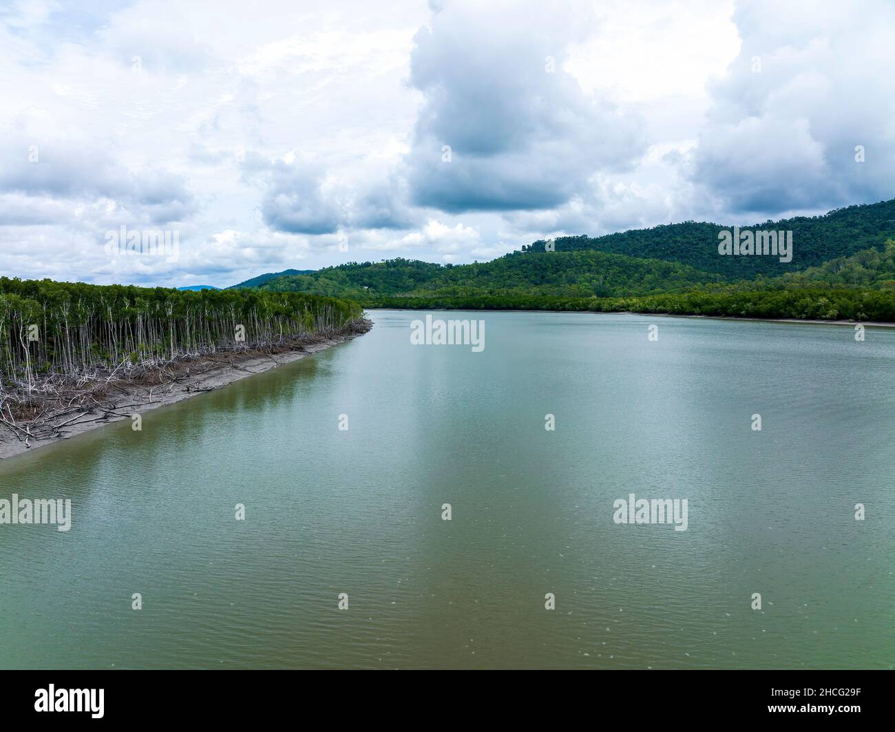 Flying along a saltwater tidal creek with tall mangrove trees on the ...