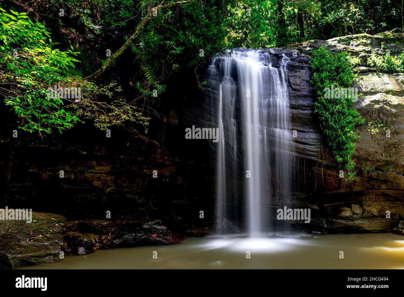 Buderim Falls, also known as Serenity Falls is a small waterfall on the ...
